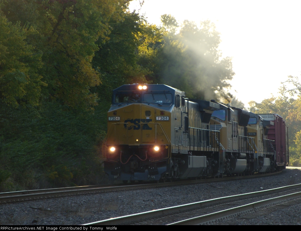 CSX 7304 leads the AASFX